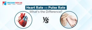Understanding Difference Between Heart Rate and Pulse Rate